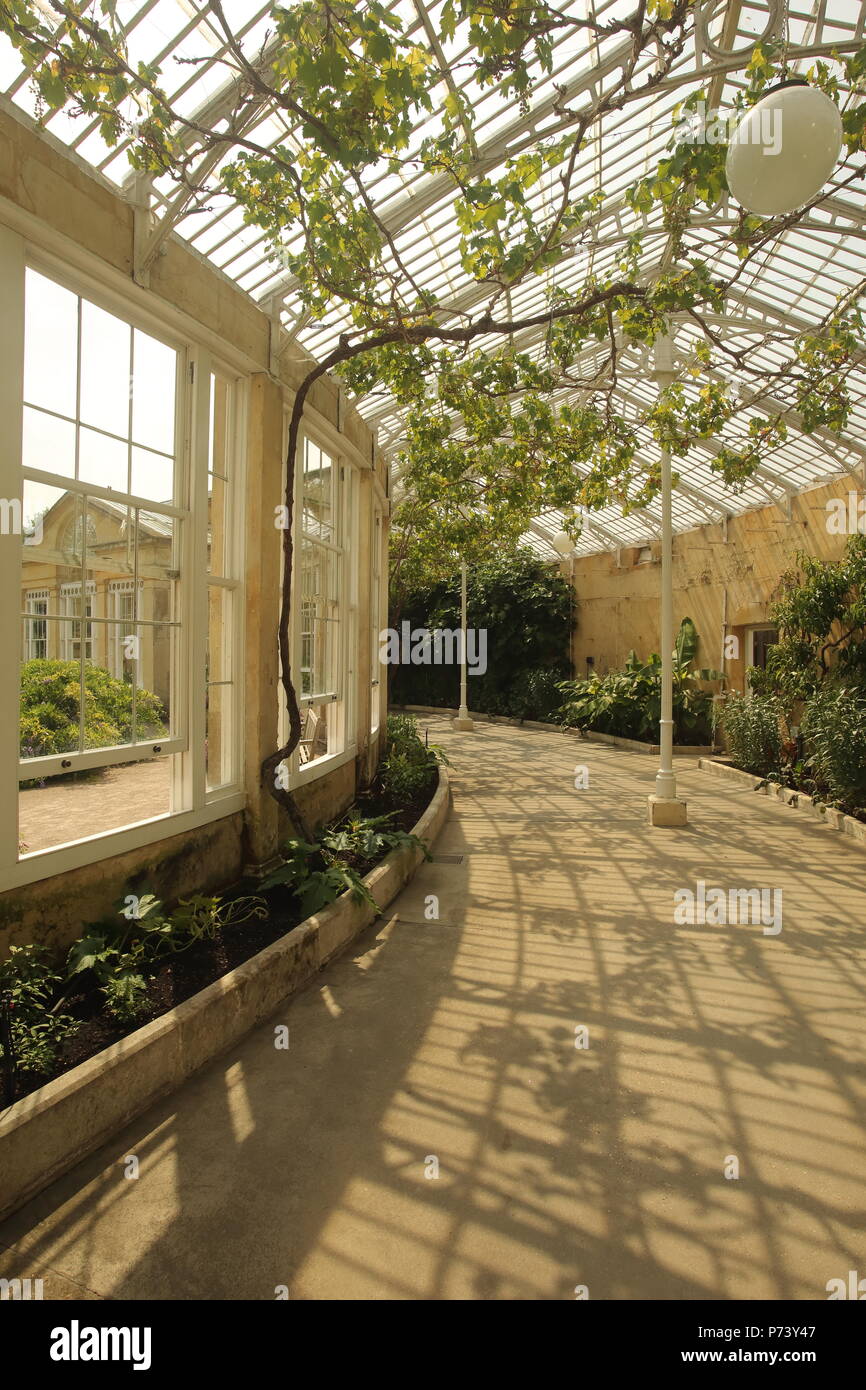 Syon Park House And Gardens Is The London Home Of High Resolution Stock ...