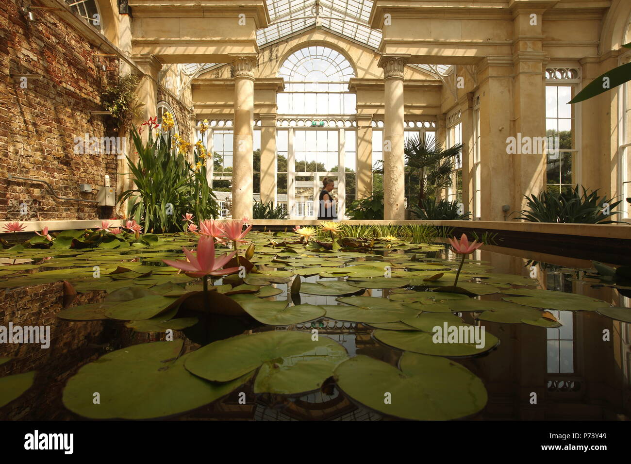Syon house london summer hi-res stock photography and images - Alamy