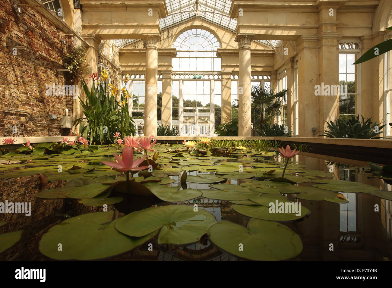 Syon house london summer hi-res stock photography and images - Alamy