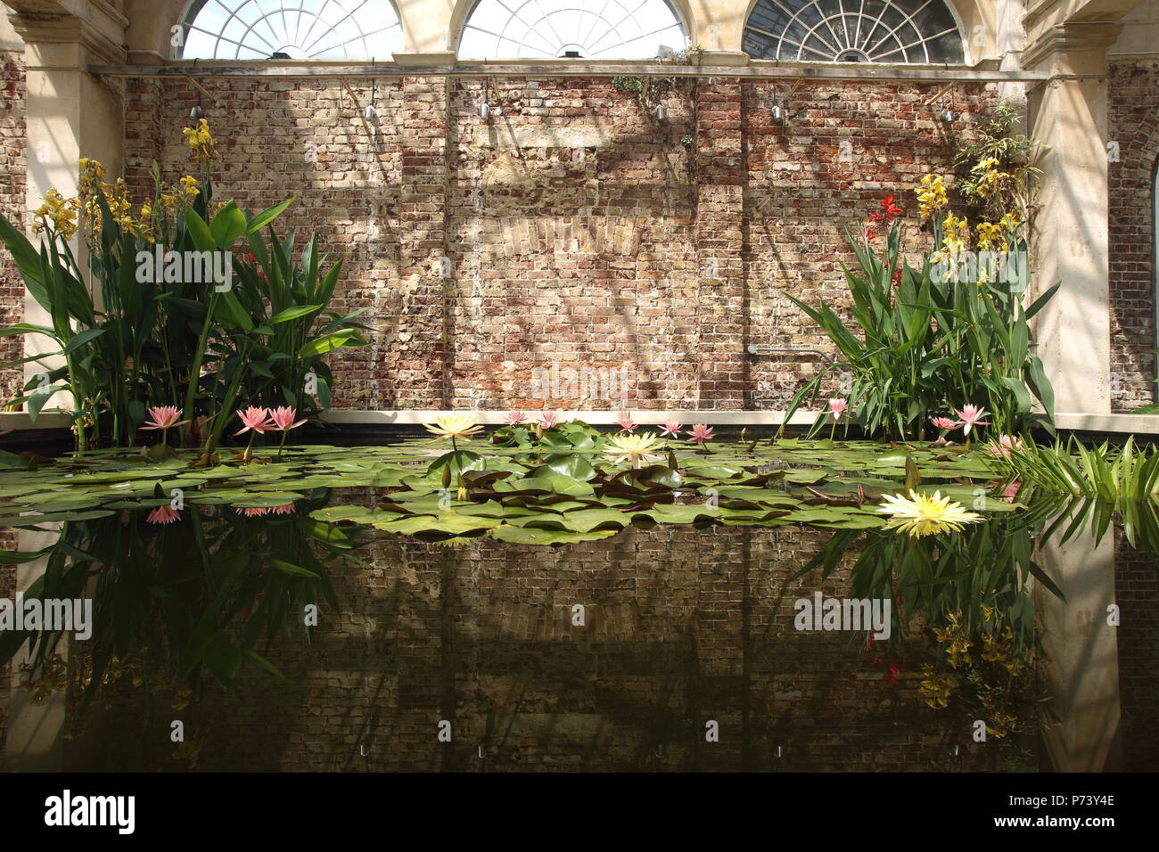 Syon park house and gardens is the london home of hi-res stock ...