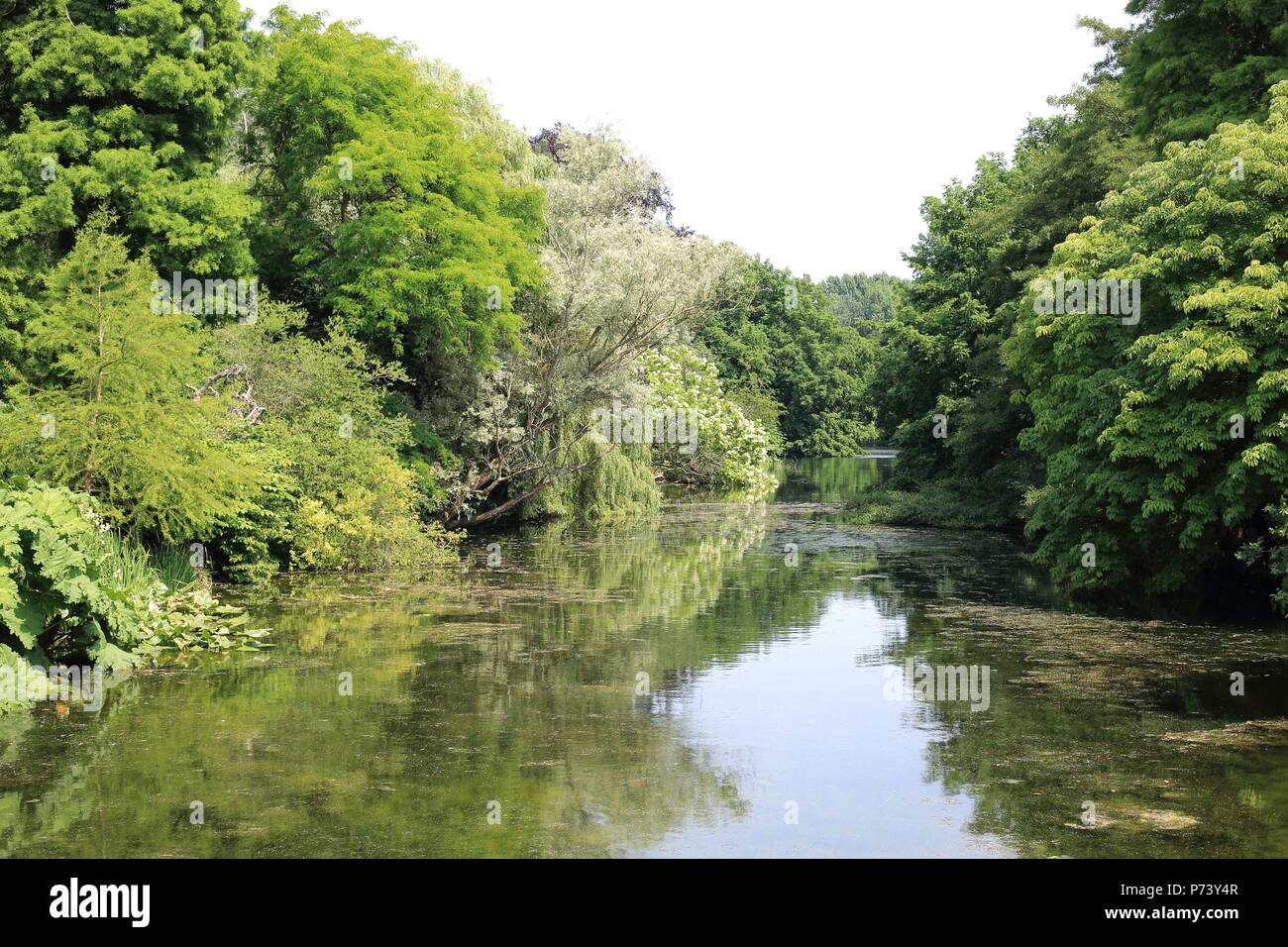 Syon house estate hi-res stock photography and images - Alamy