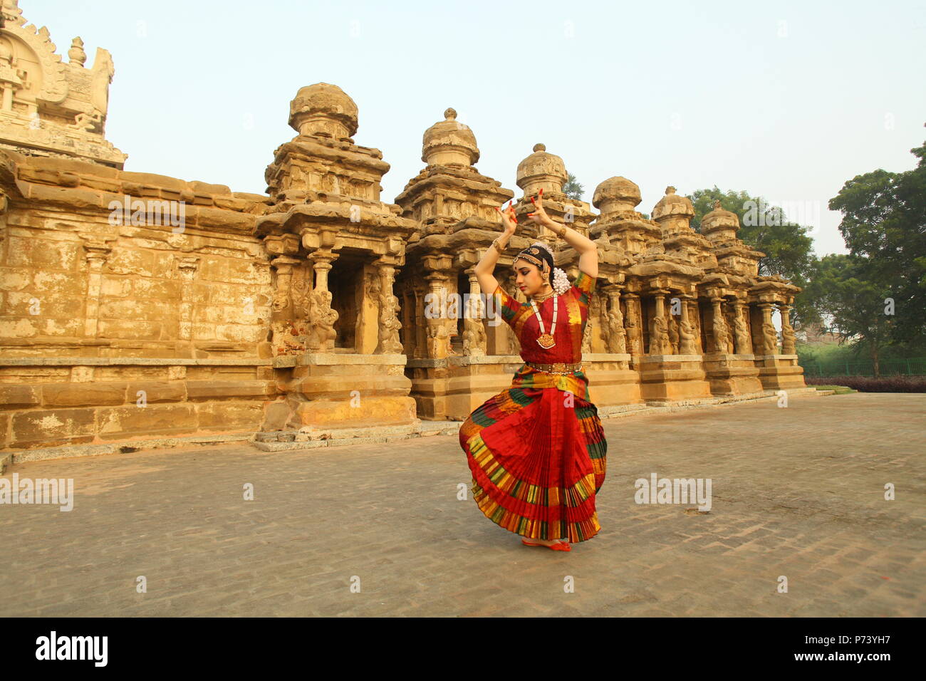 bharatha natyam,one of the eight classical dance forms of india,is from ...