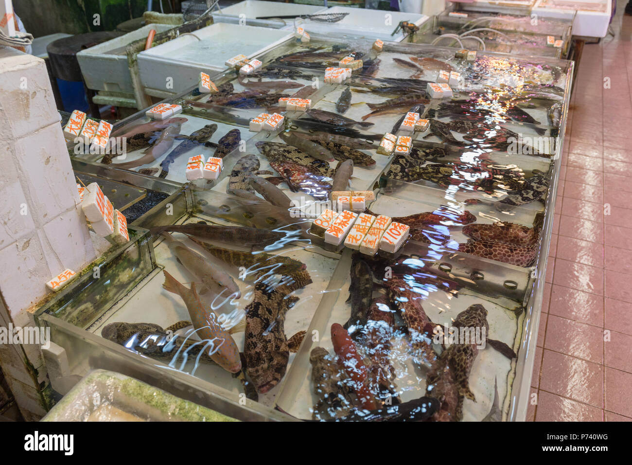Fresh Live Fish at Farmers Market in Hong Kong Stock Photo - Alamy