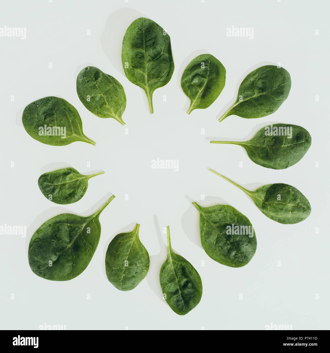 top view of round frame made from fresh green leaves isolated on grey ...