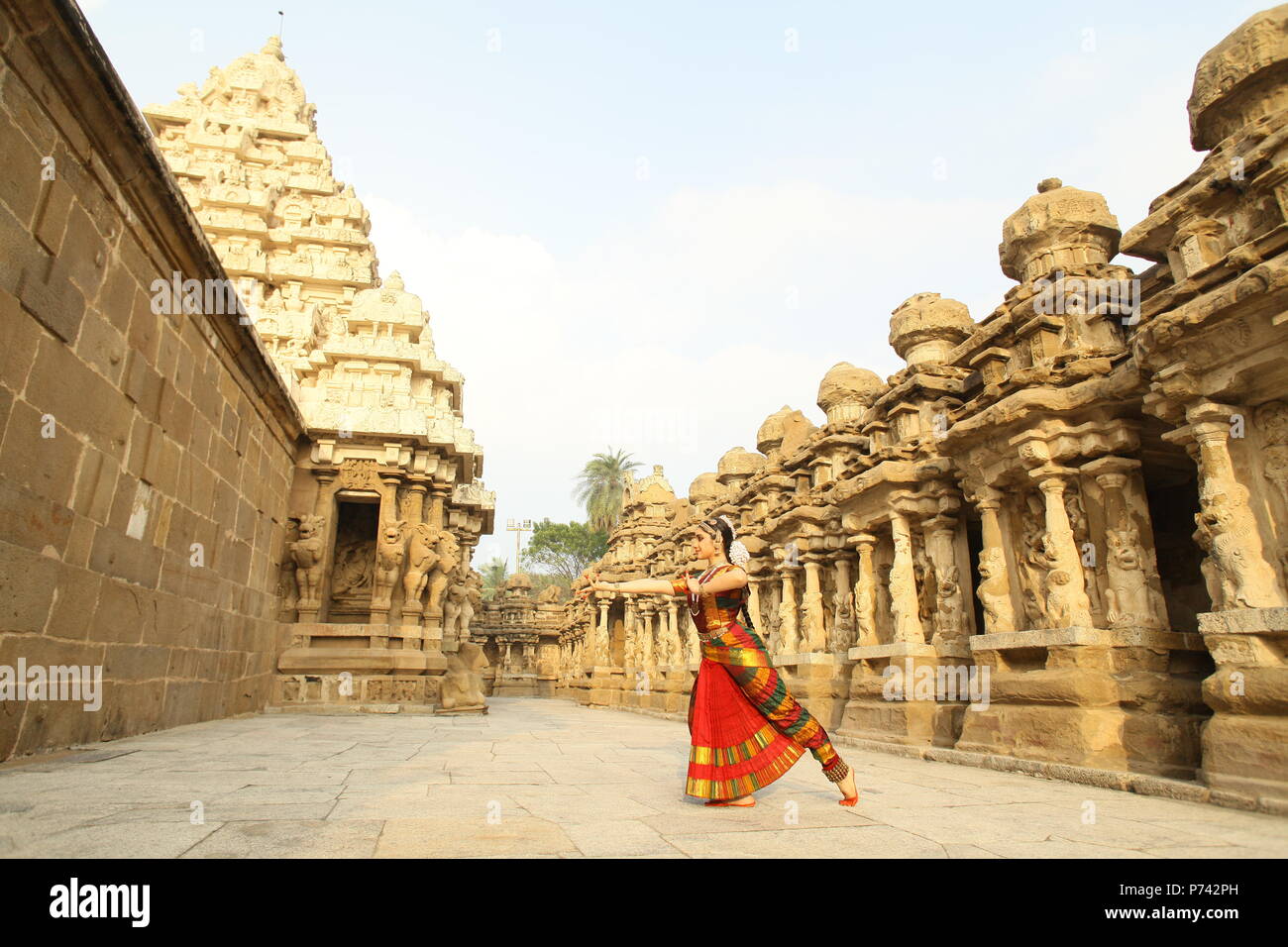 bharatha natyam,one of the eight classical dance forms of india,is from ...