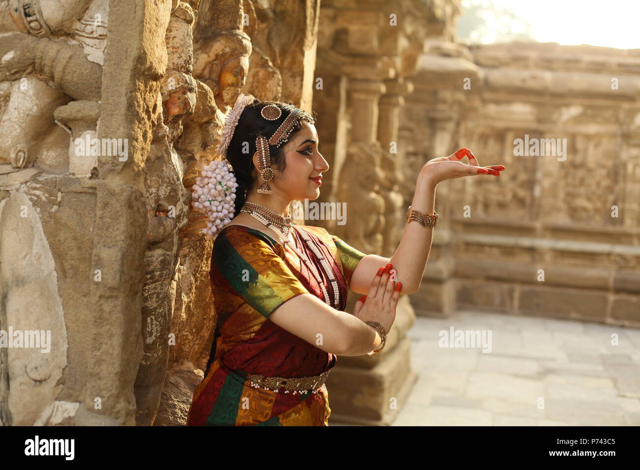 bharatha natyam,one of the eight classical dance forms of india,is from ...