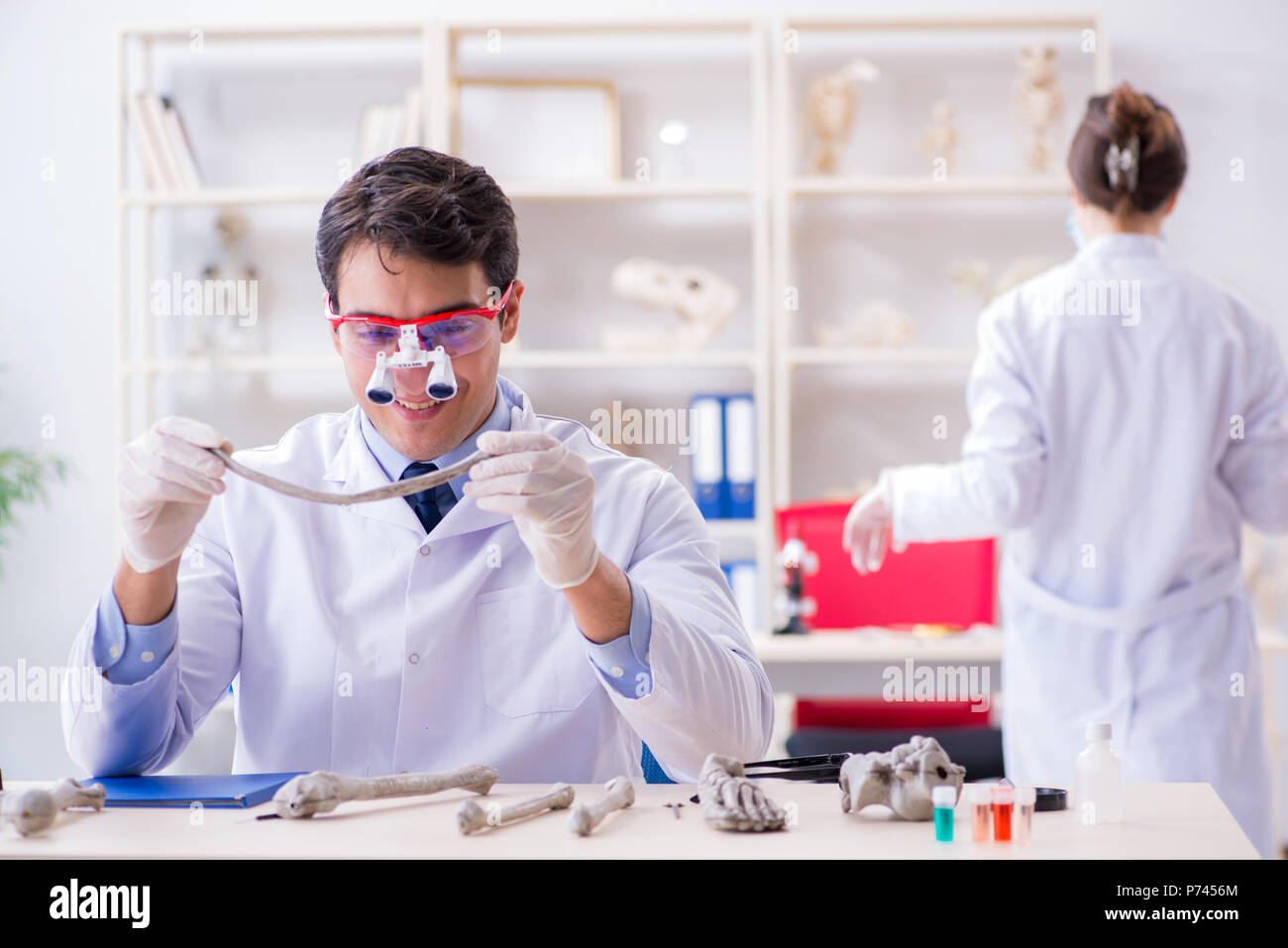 Professor studying human skeleton in lab Stock Photo - Alamy