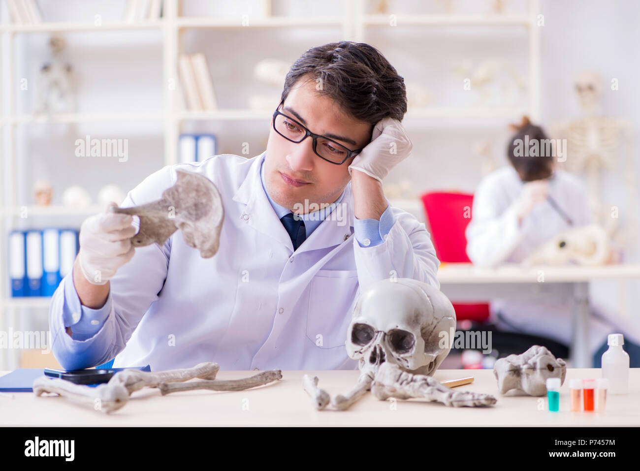 Professor studying human skeleton in lab Stock Photo - Alamy
