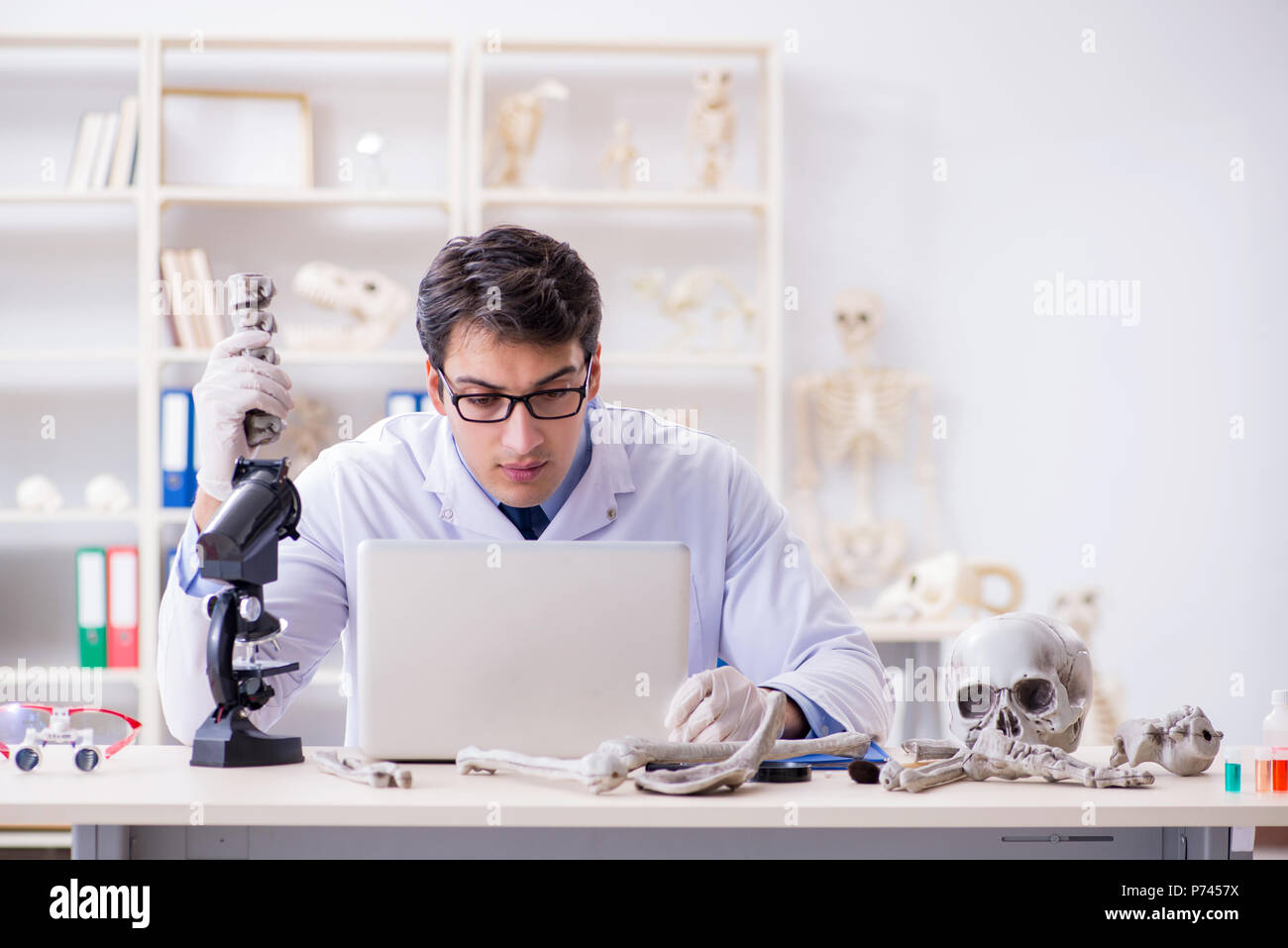 Professor studying human skeleton in lab Stock Photo - Alamy