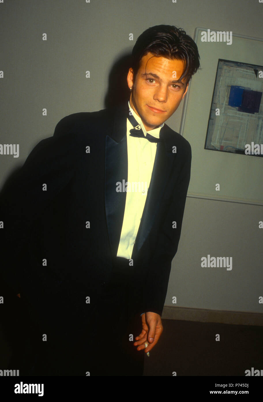 BEVERLY HILLS, CA - JANUARY 18: Actor Stephen Dorff attends the 49th ...