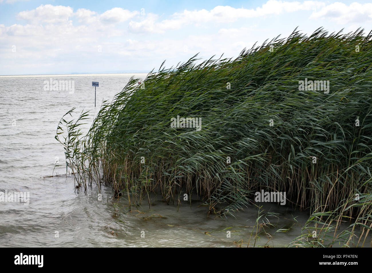 Beautiful picture of the hungarian lake Balaton Stock Photo - Alamy