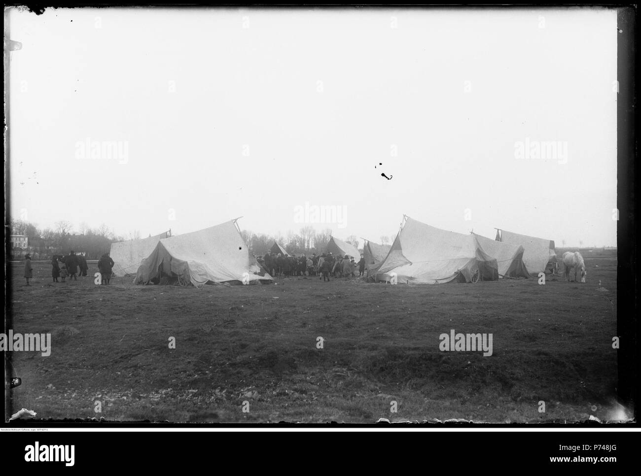 Cyganski hi-res stock photography and images - Alamy