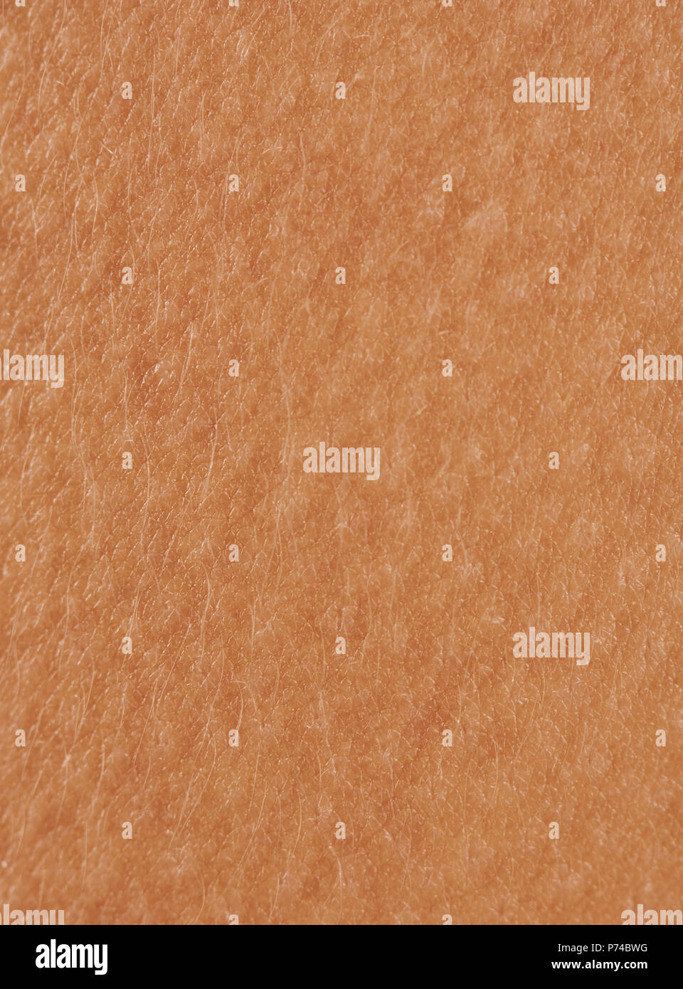 Perfect human skin texture. Clean flat surface of human skin Stock ...