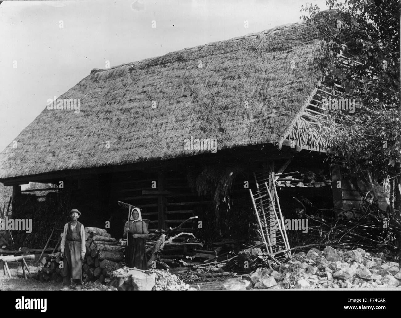 Slovenian kozolec hi-res stock photography and images - Alamy