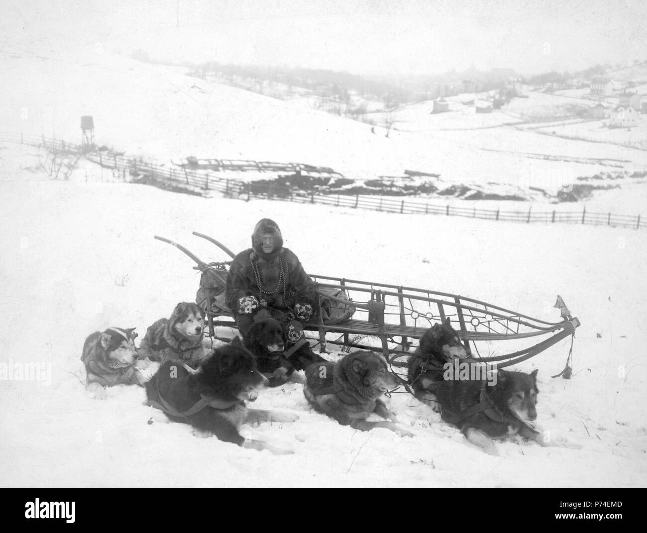 Alaska dog team mail hi-res stock photography and images - Alamy