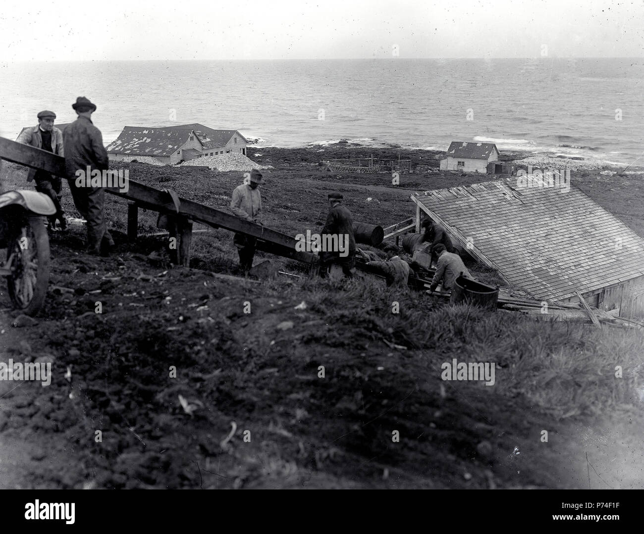 Salting Meat For Foxes Stock Photo - Alamy