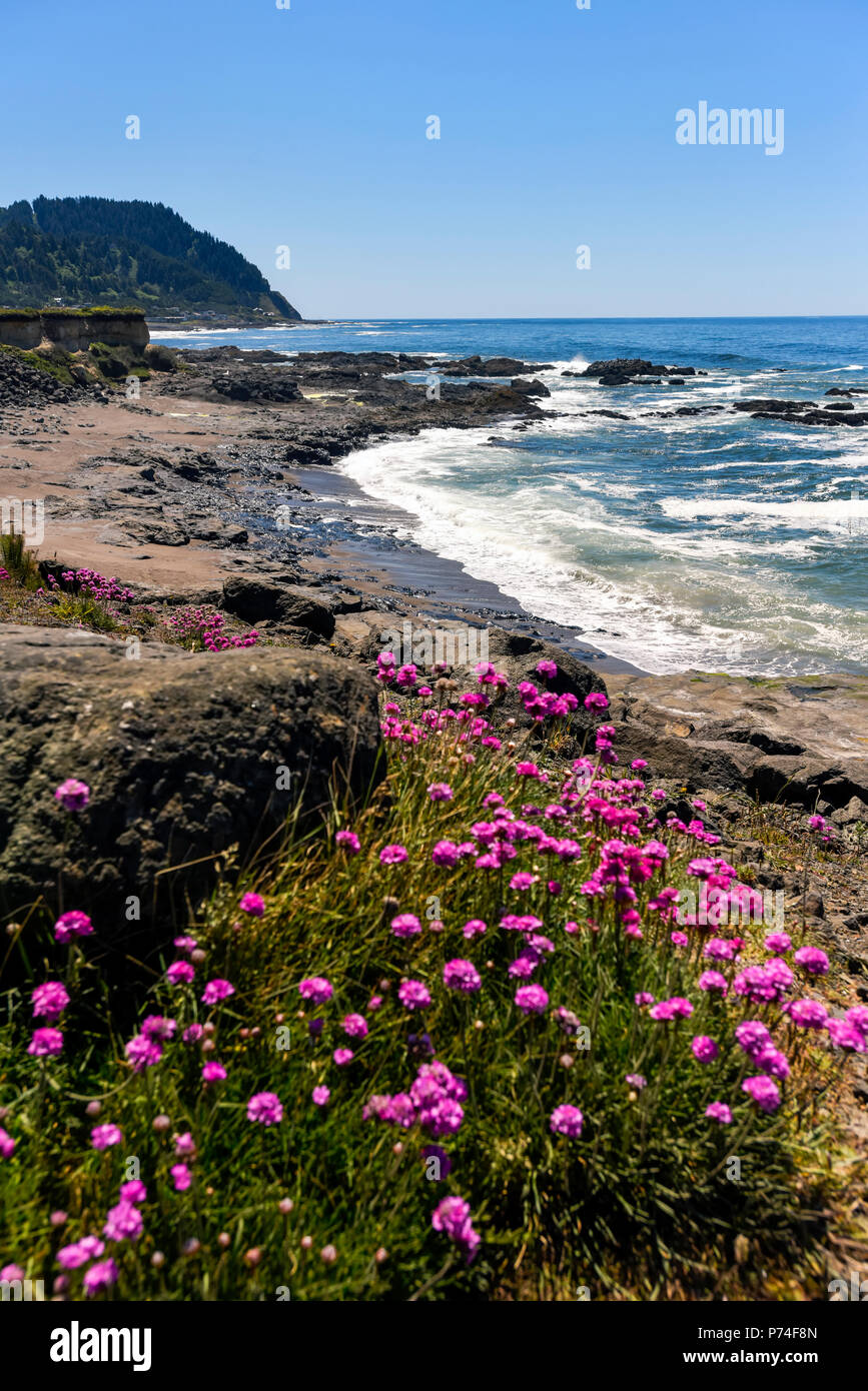 Oregon coast with flowers hi-res stock photography and images - Alamy