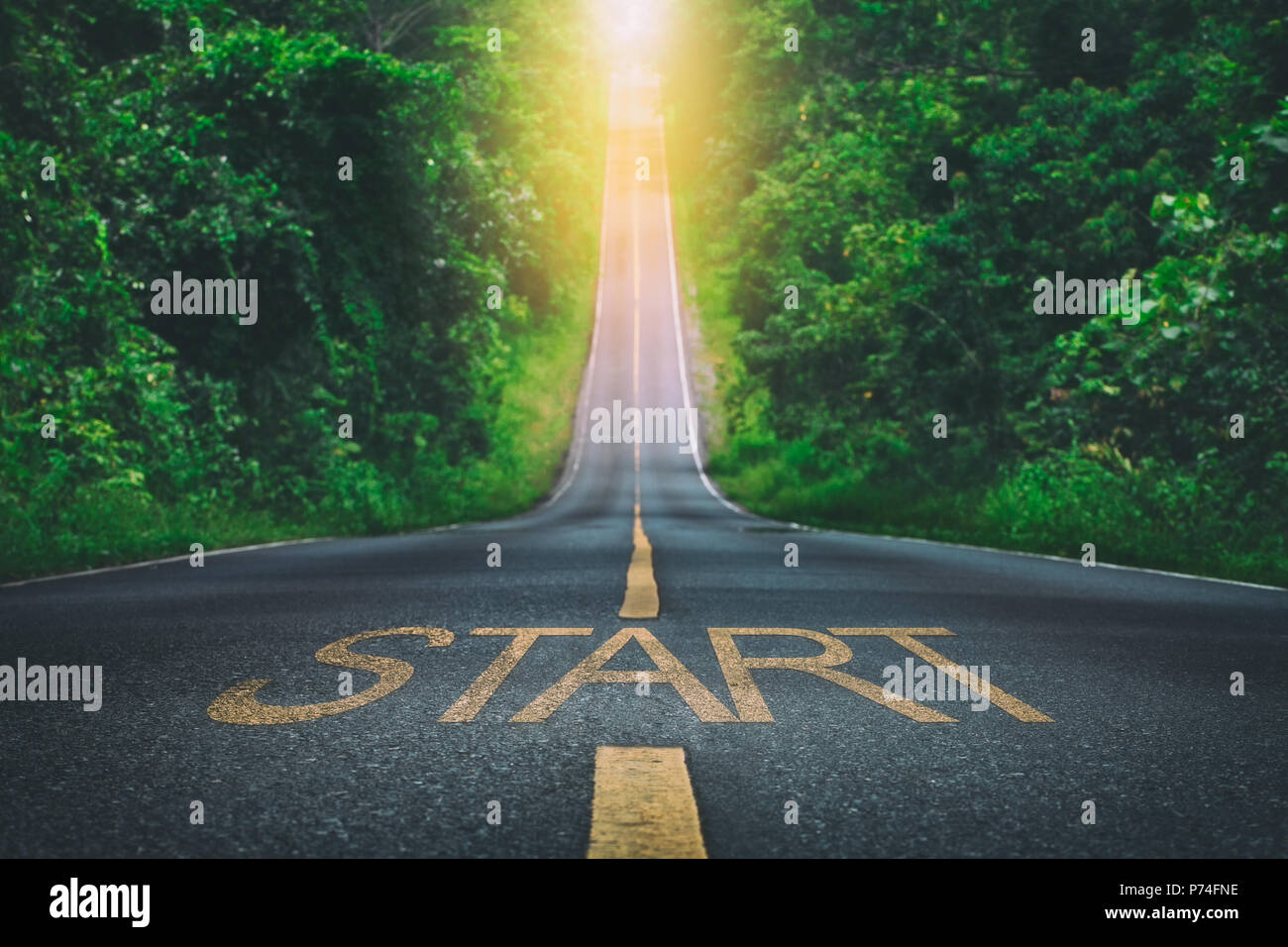 Path way of Hope and Success The light is on the destination Stock ...