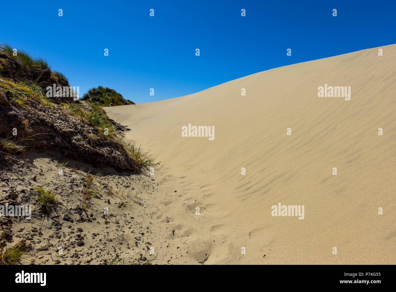 Oregon dunes florence hi-res stock photography and images - Alamy