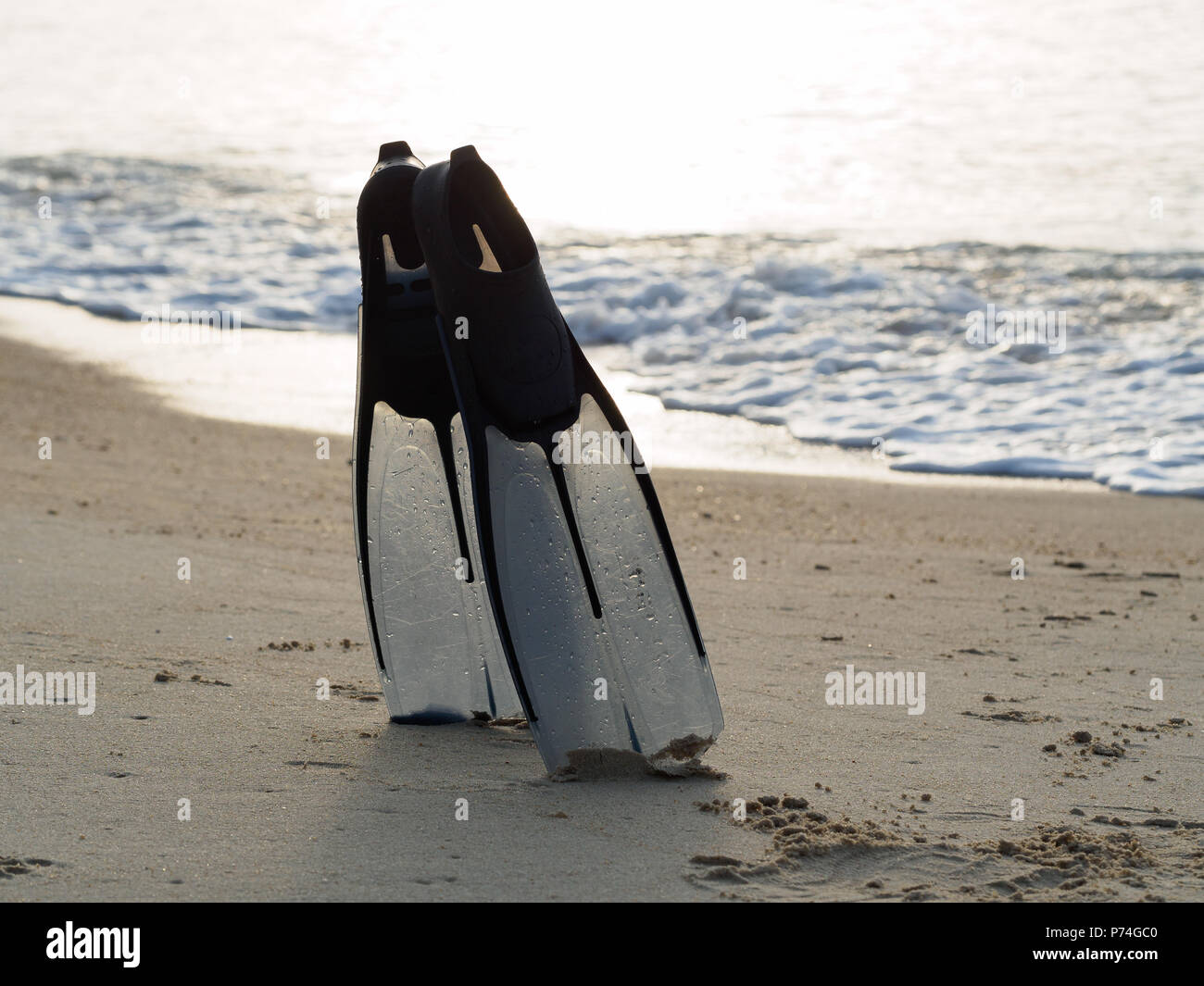 Swimming flaps hi-res stock photography and images - Alamy