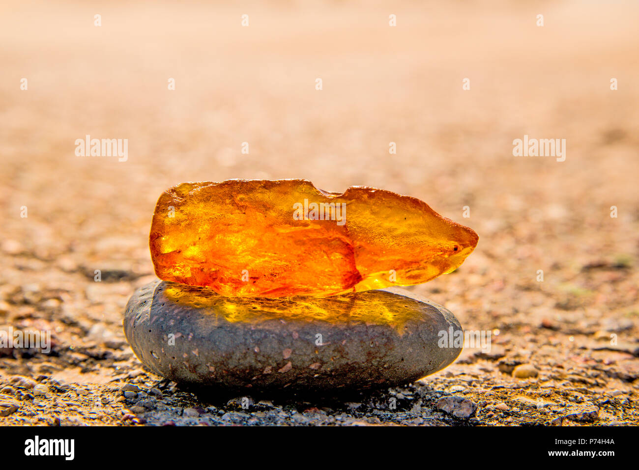 amber on a beach of the Baltic sea Stock Photo - Alamy