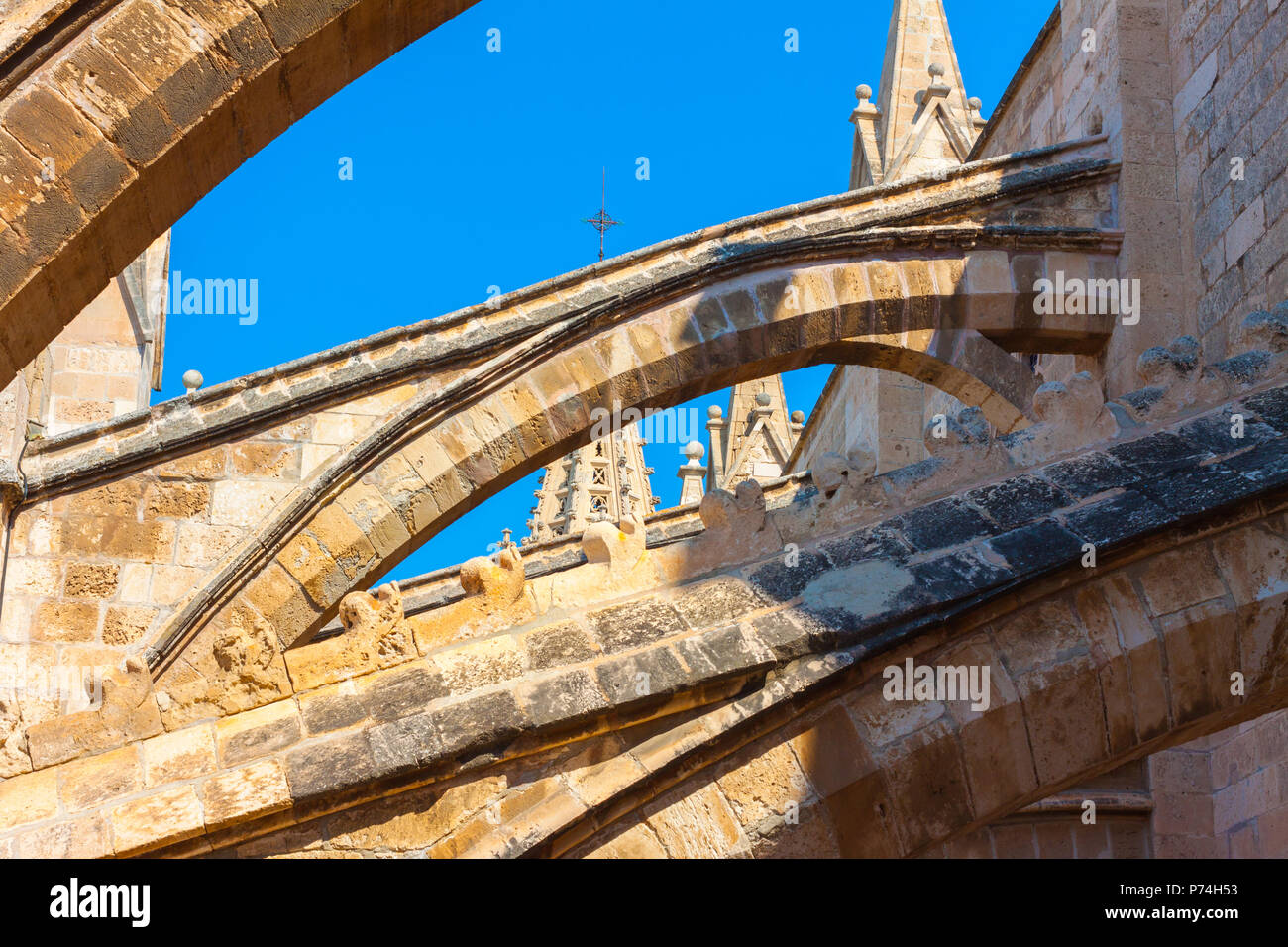 Palma cathedral and rooftops hi-res stock photography and images - Alamy