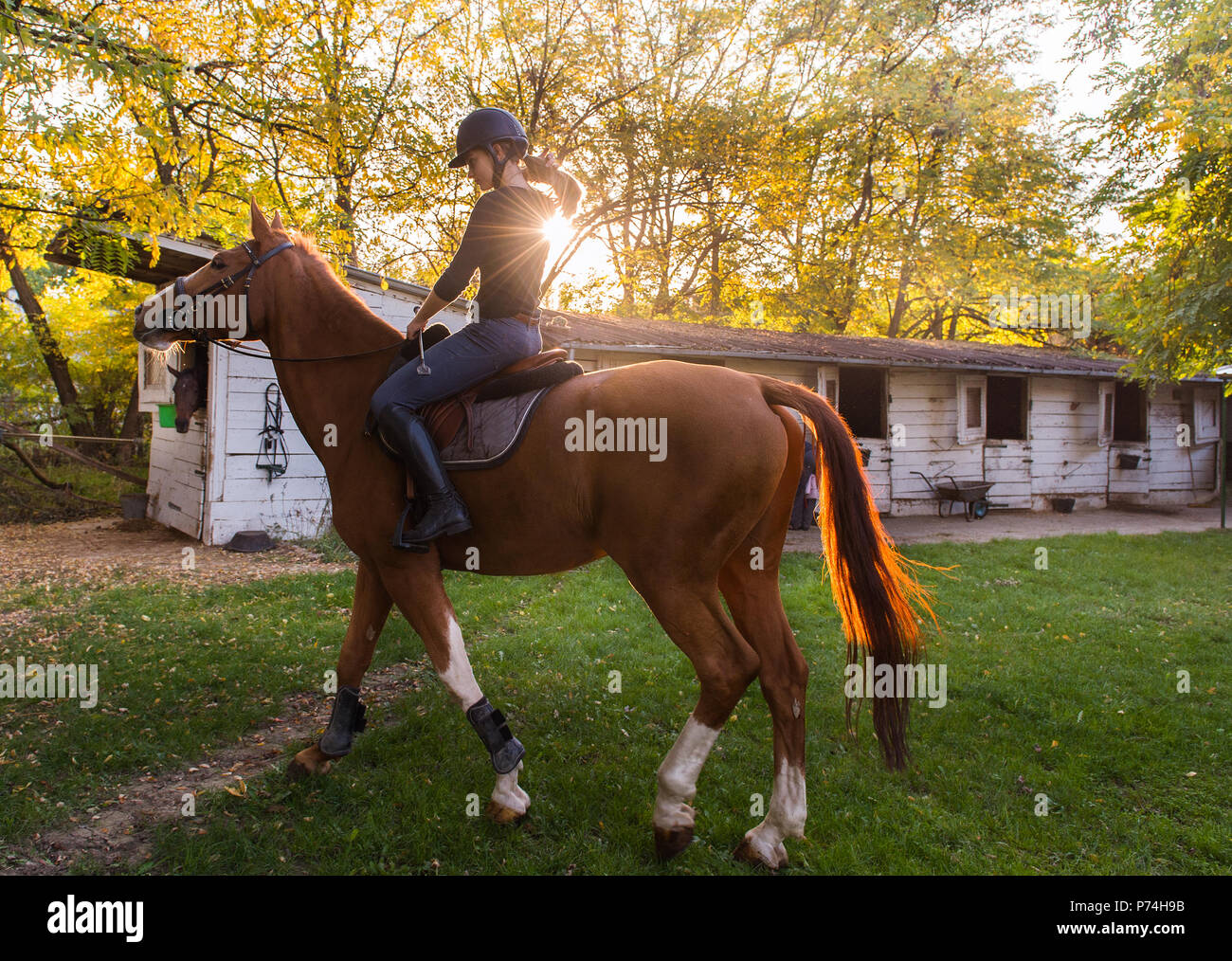 Young pretty girl - riding a horse with backlit leaves behind Stock ...