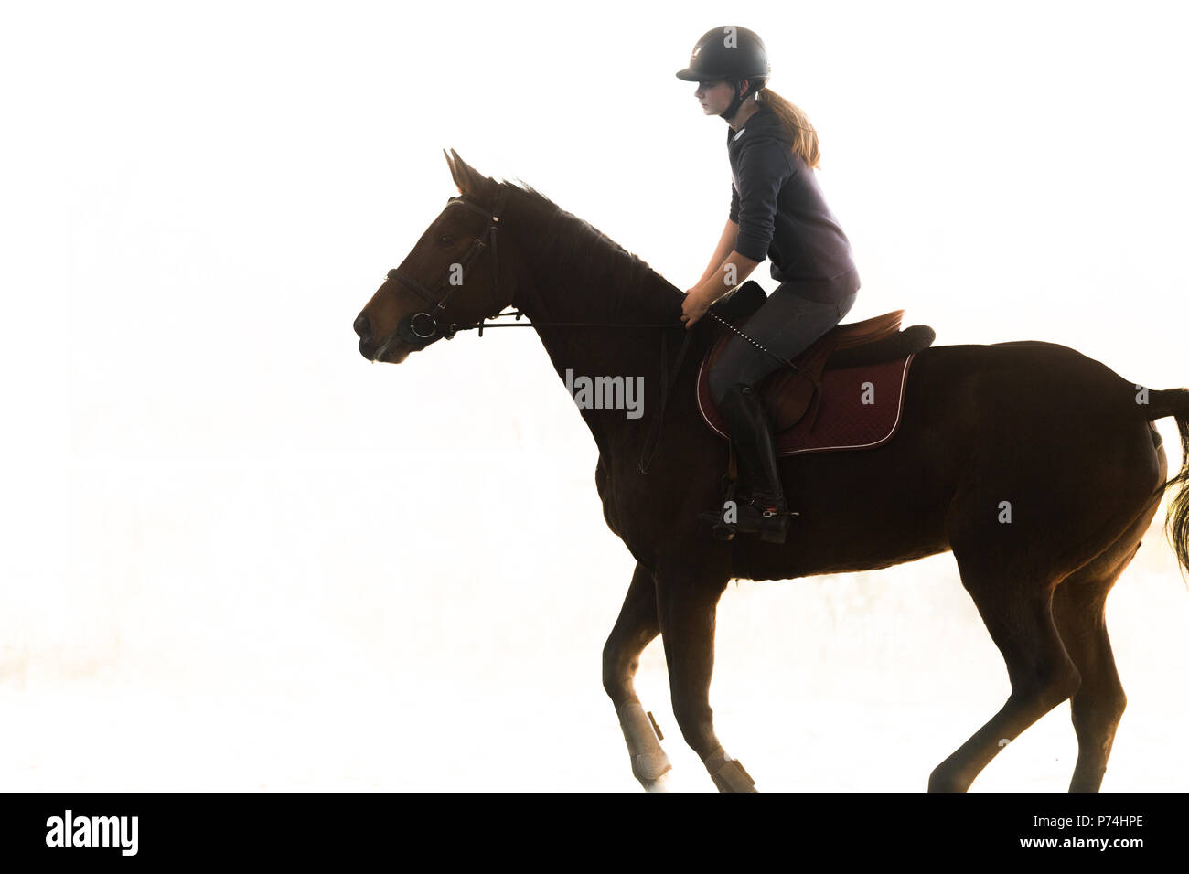 Young pretty girl - riding a horse i Stock Photo - Alamy