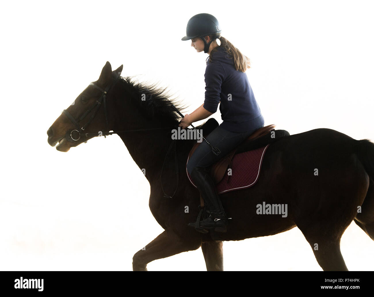 Teen horse riding Cut Out Stock Images & Pictures - Alamy