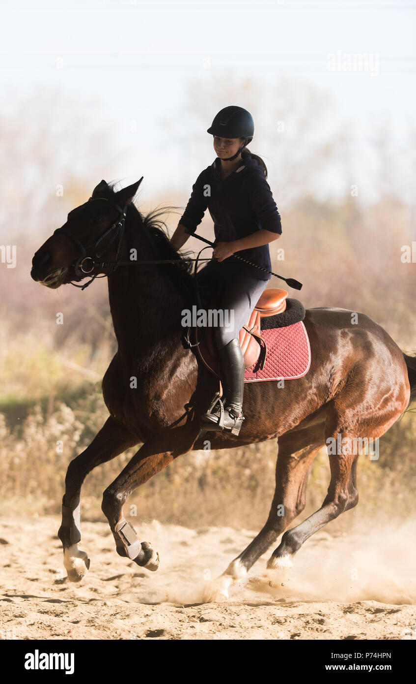 Young pretty girl - riding a horse in winter morning Stock Photo - Alamy