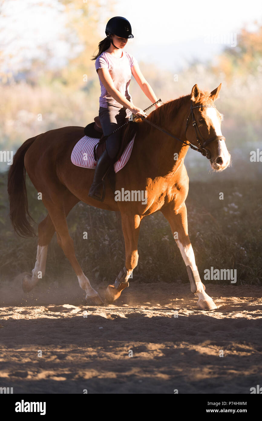 Young pretty girl - riding a horse with backlit leaves behind Stock ...