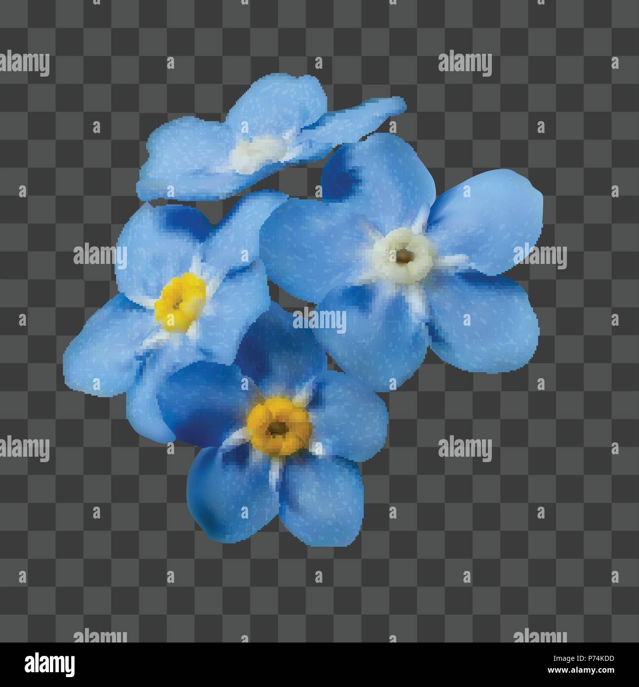 Blue forget me not spring flowers. Decorative element vector Stock ...
