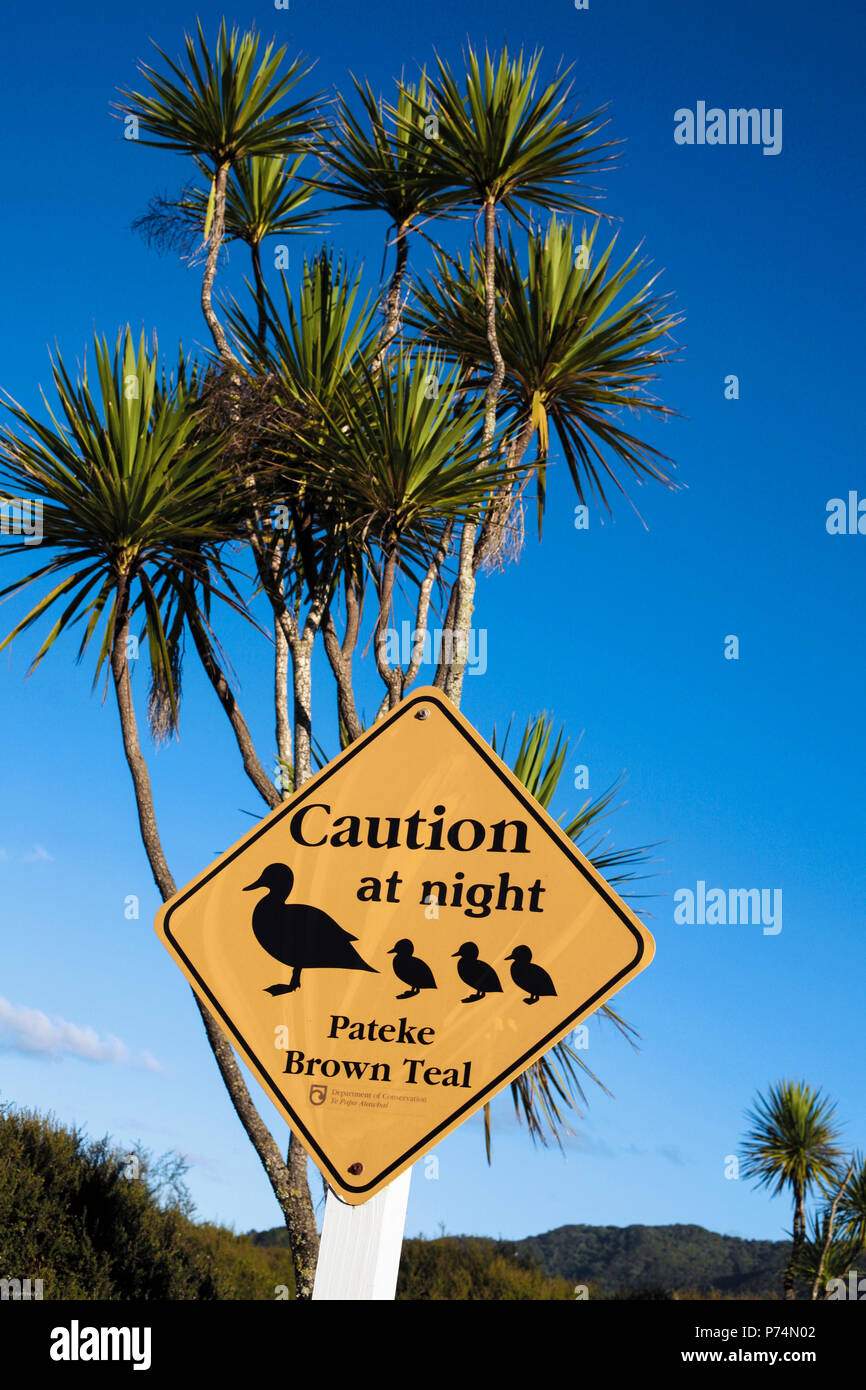 Road sign urging care for brown teal (Anas chlorotis) on Great Barrier ...