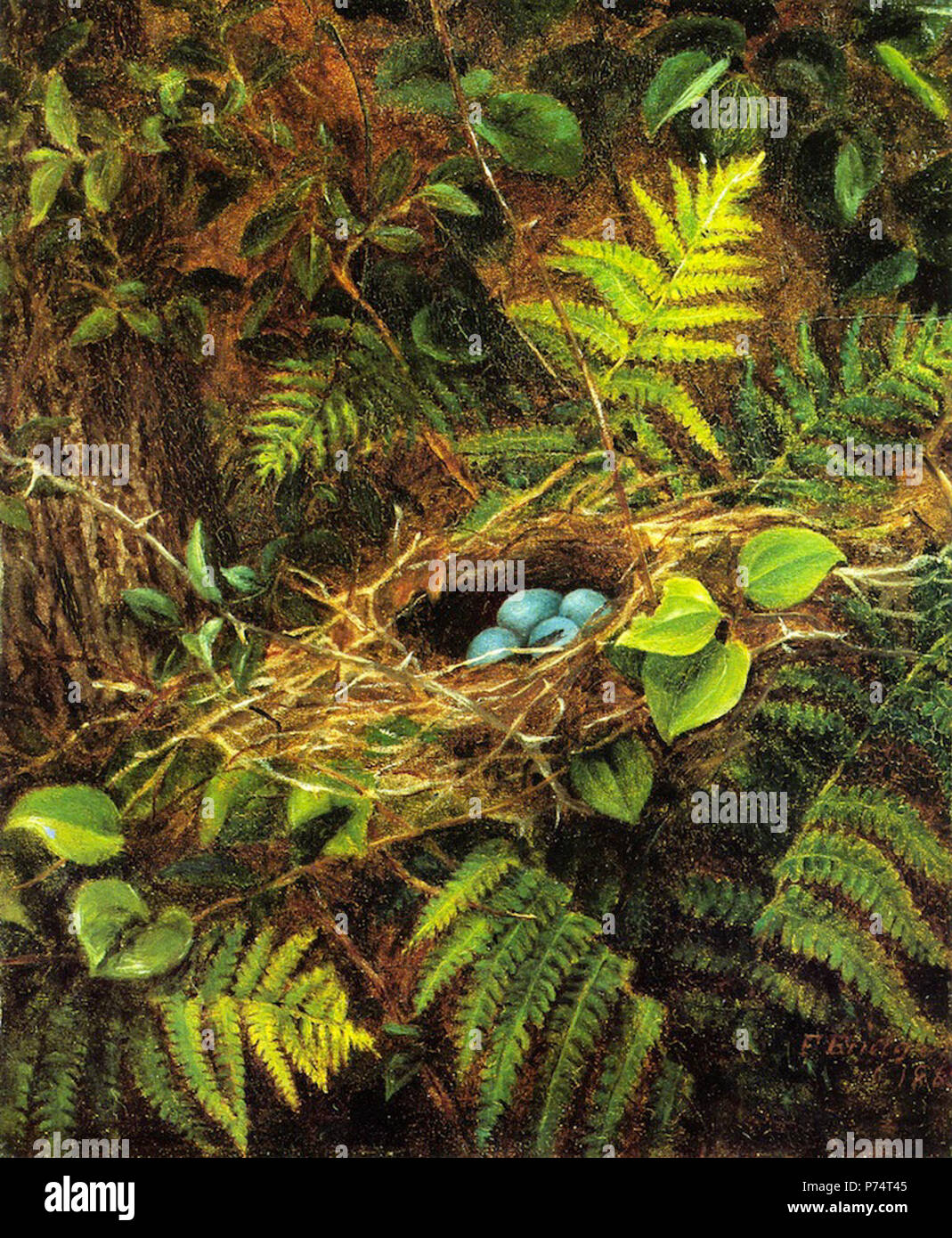 English: Still Life with Robin's Nest, an oil painting . 1863 219 Still ...