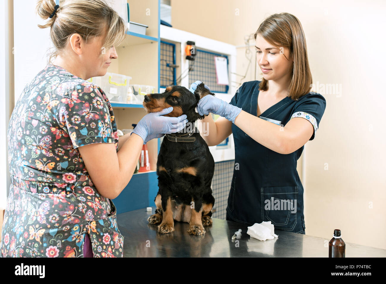 The medicine, pet care and people concept - dog and veterinarian doctor ...