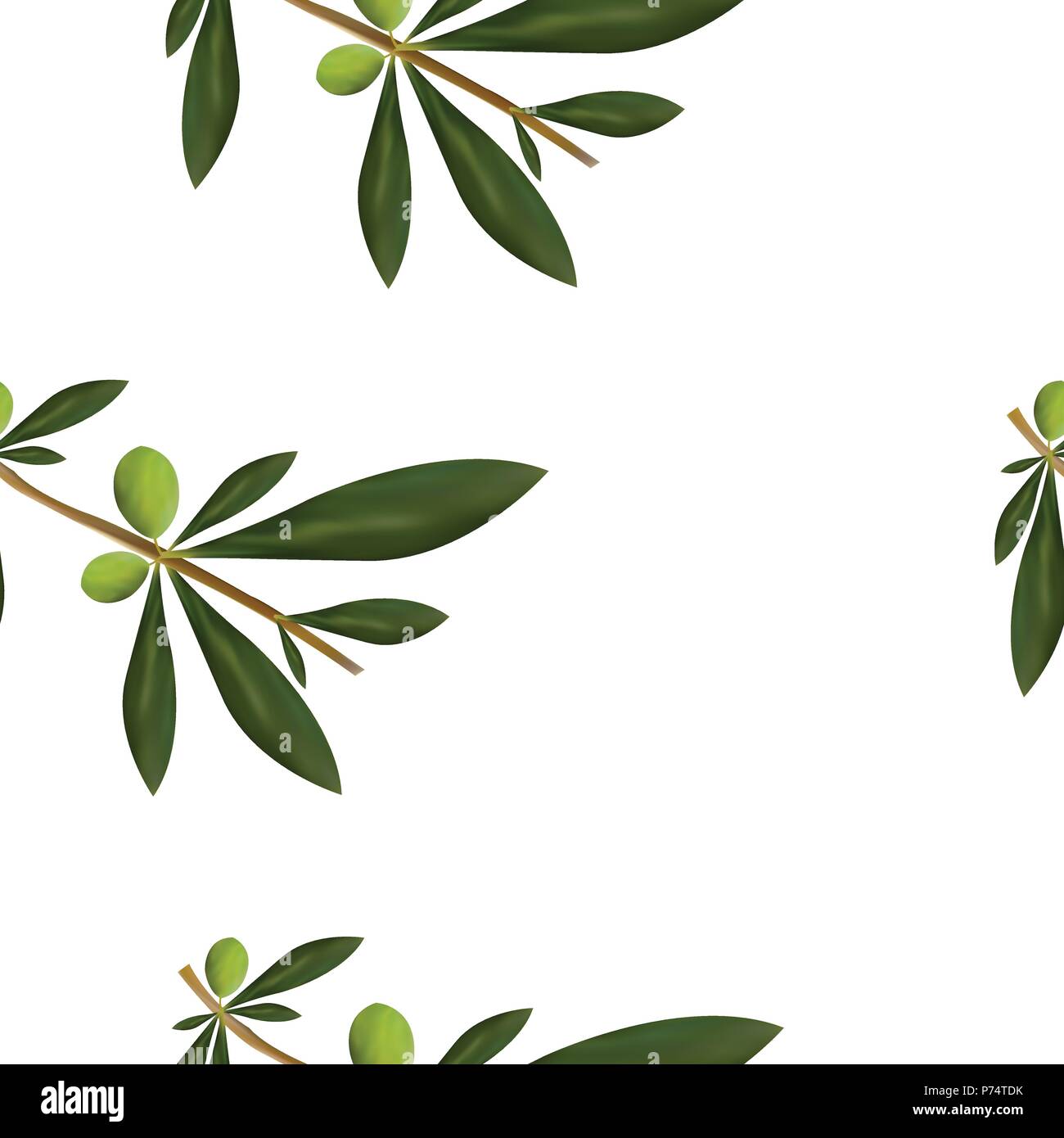 seamless pattern with olive tree vector Stock Vector Image & Art - Alamy