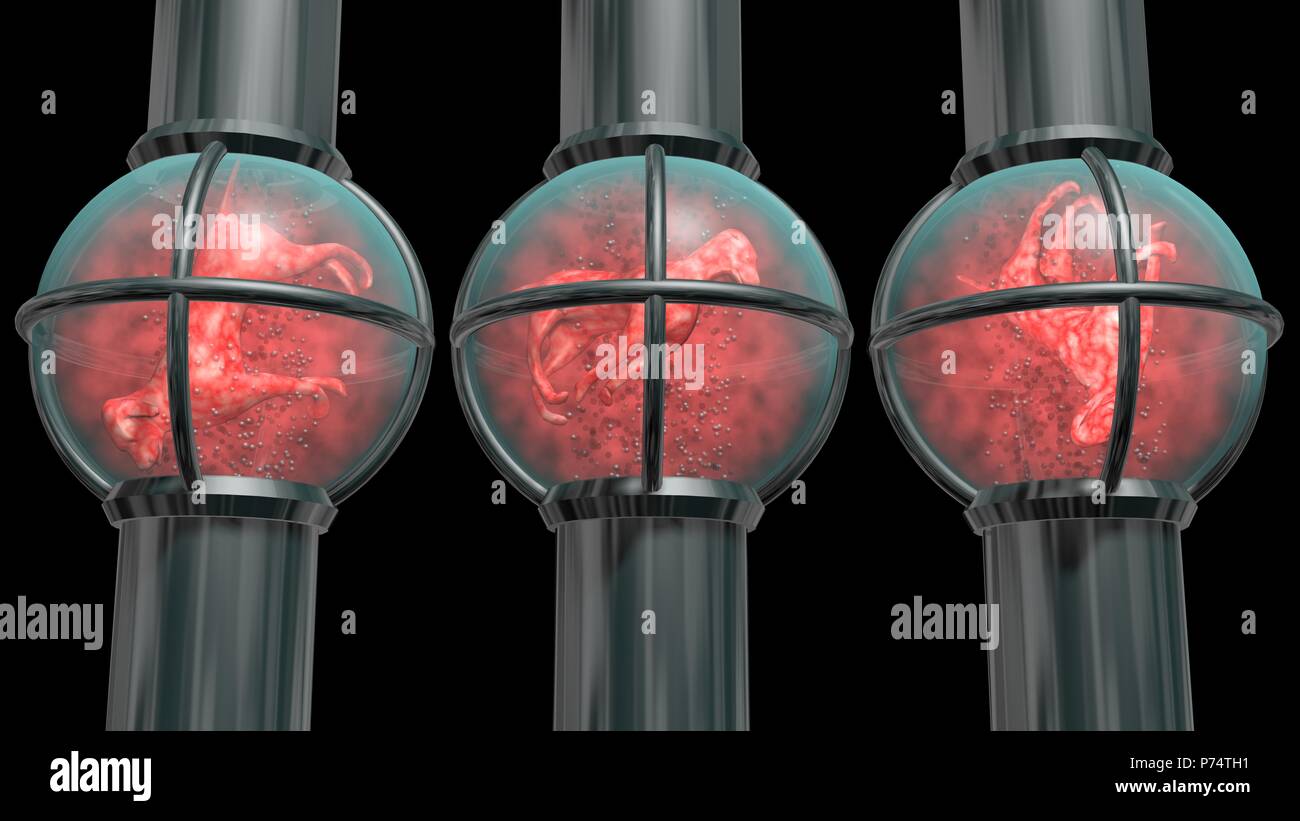 Animal cloning, Dog in life pod. 3d render Stock Photo - Alamy