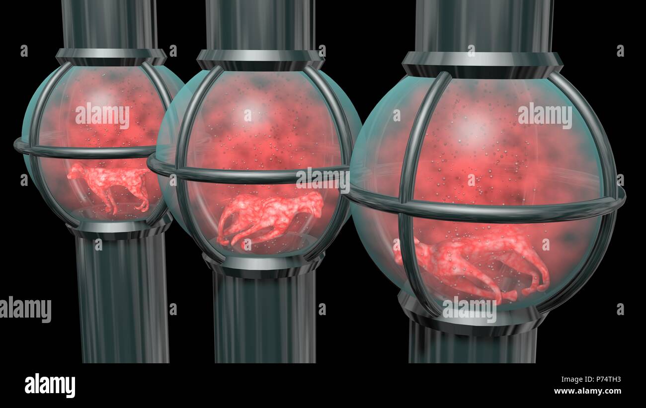 Animal cloning, Dog in life pod. 3d render Stock Photo - Alamy