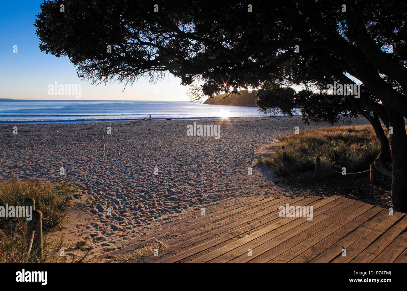 Sunrise at Main beach in Mount Maunganui, New Zealand Stock Photo - Alamy