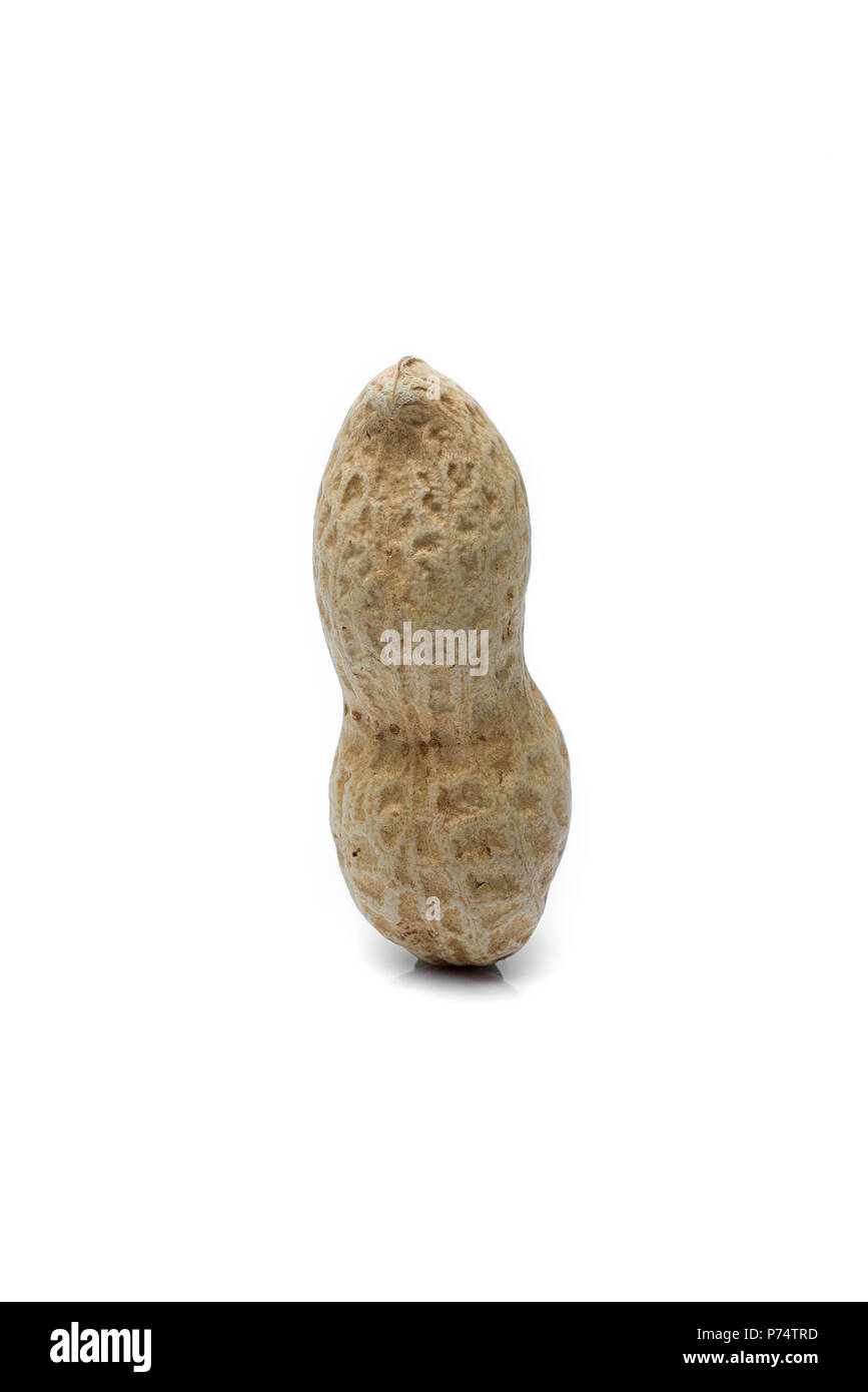 one peanuts isolated on white background in vertical position Stock ...