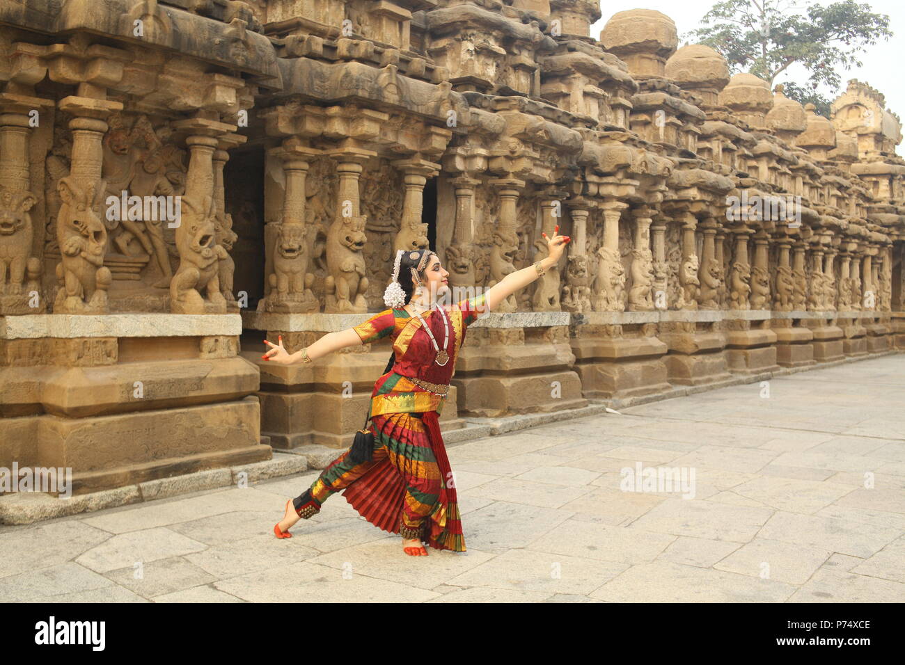 bharatha natyam,one of the eight classical dance forms of india,is from ...