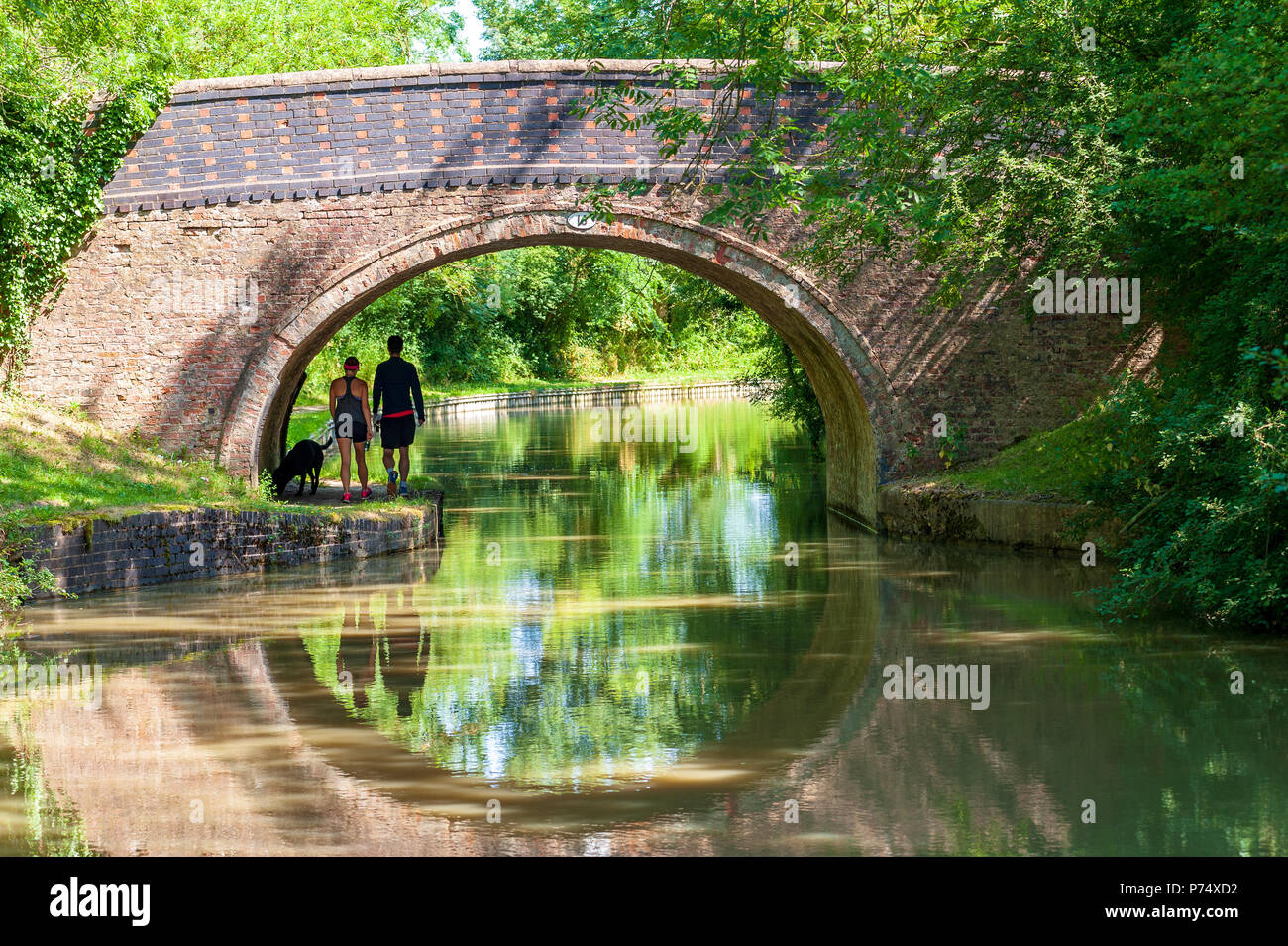 two walkers and their dog walk the towpath under a bridge alongside the ...