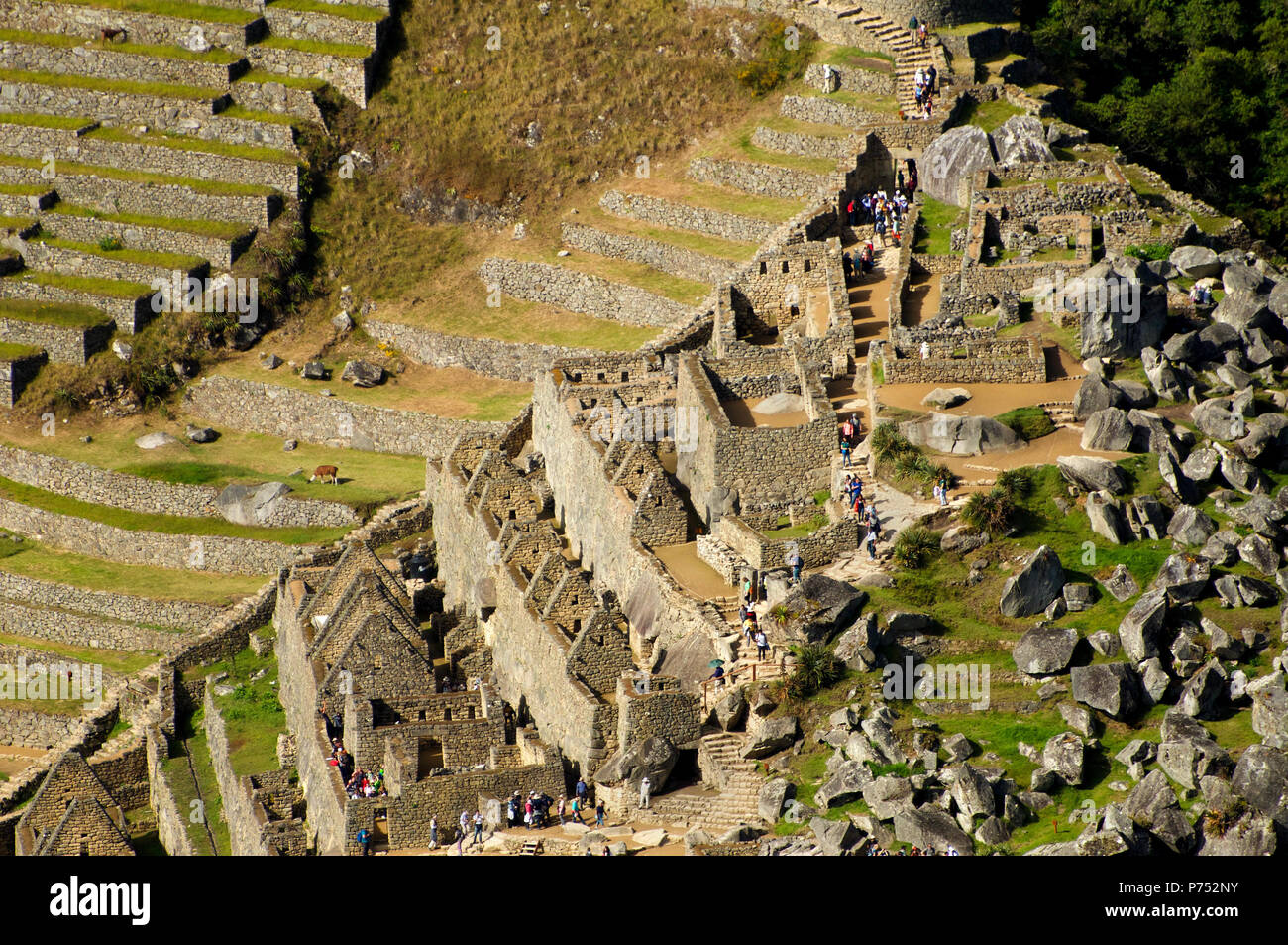 Close Up Machu Picchu at Sunrise, Peru Stock Photo - Alamy
