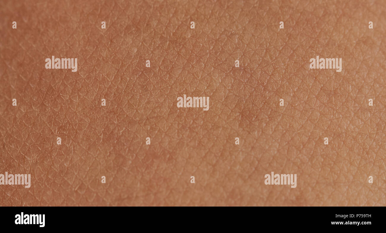 Cells on human skin close-up view. Human skin background Stock Photo ...