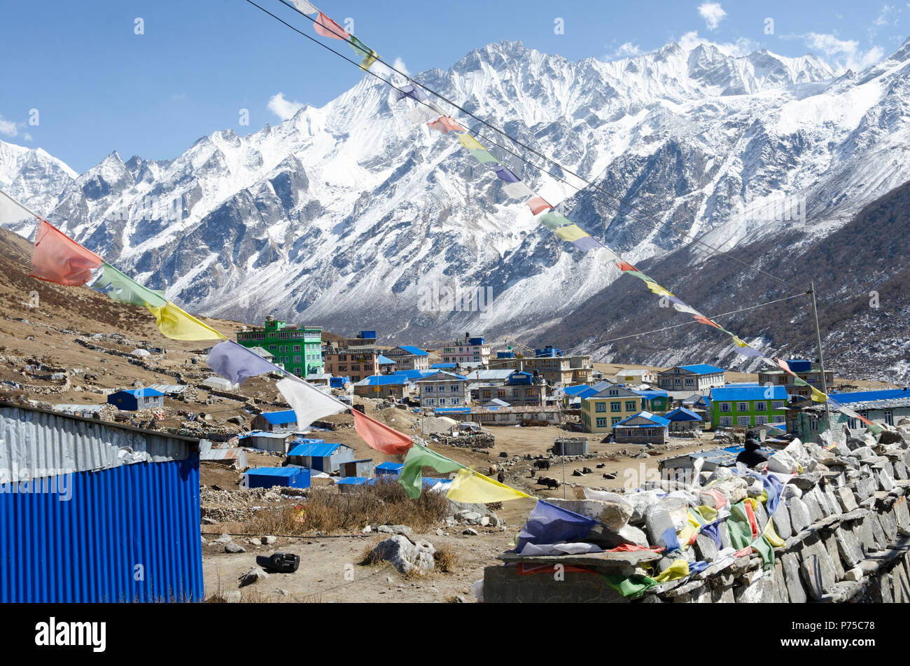 Kyanjin gompa village hi-res stock photography and images - Alamy