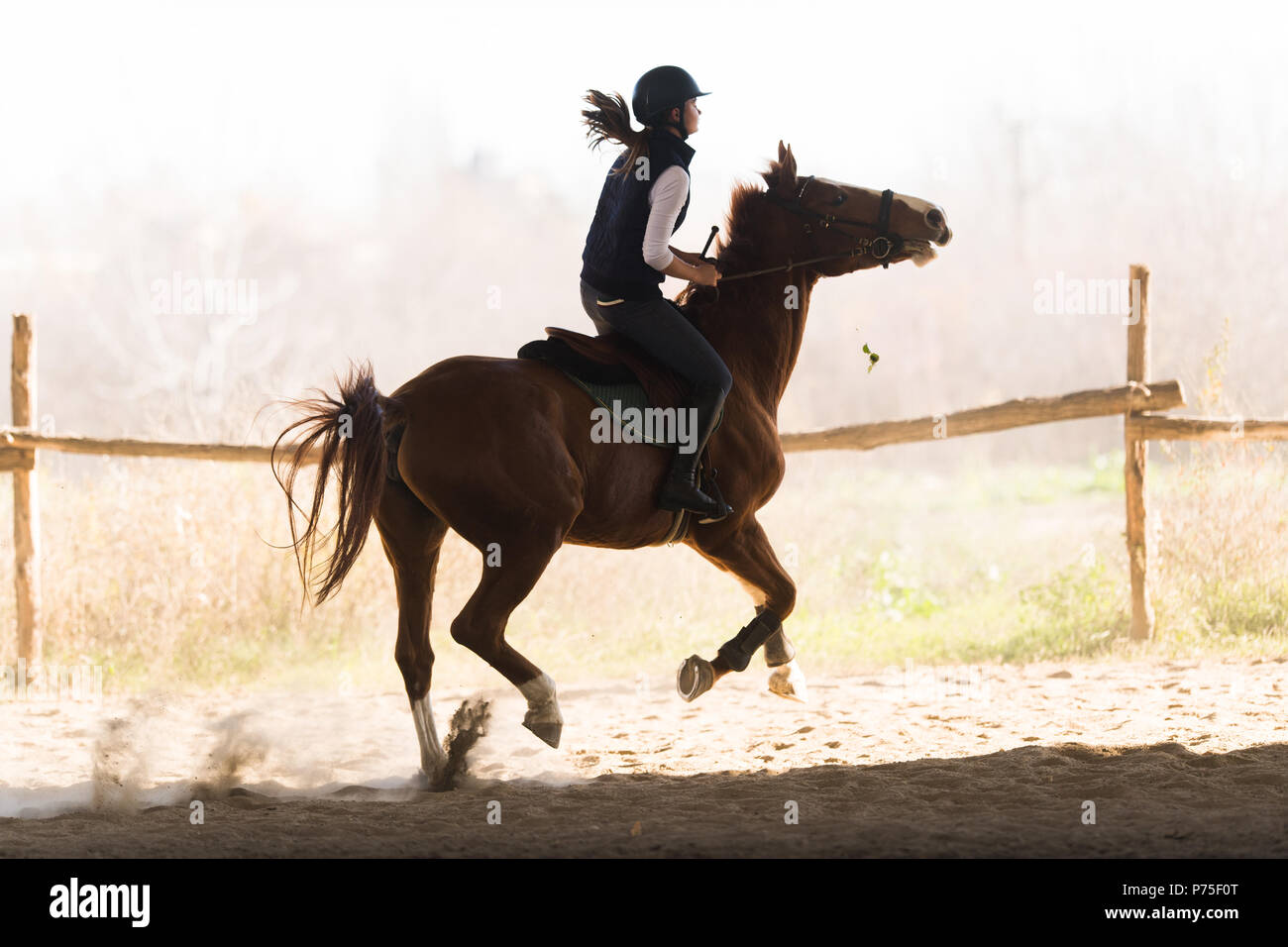 Young pretty girl - riding a horse in winter morning Stock Photo - Alamy