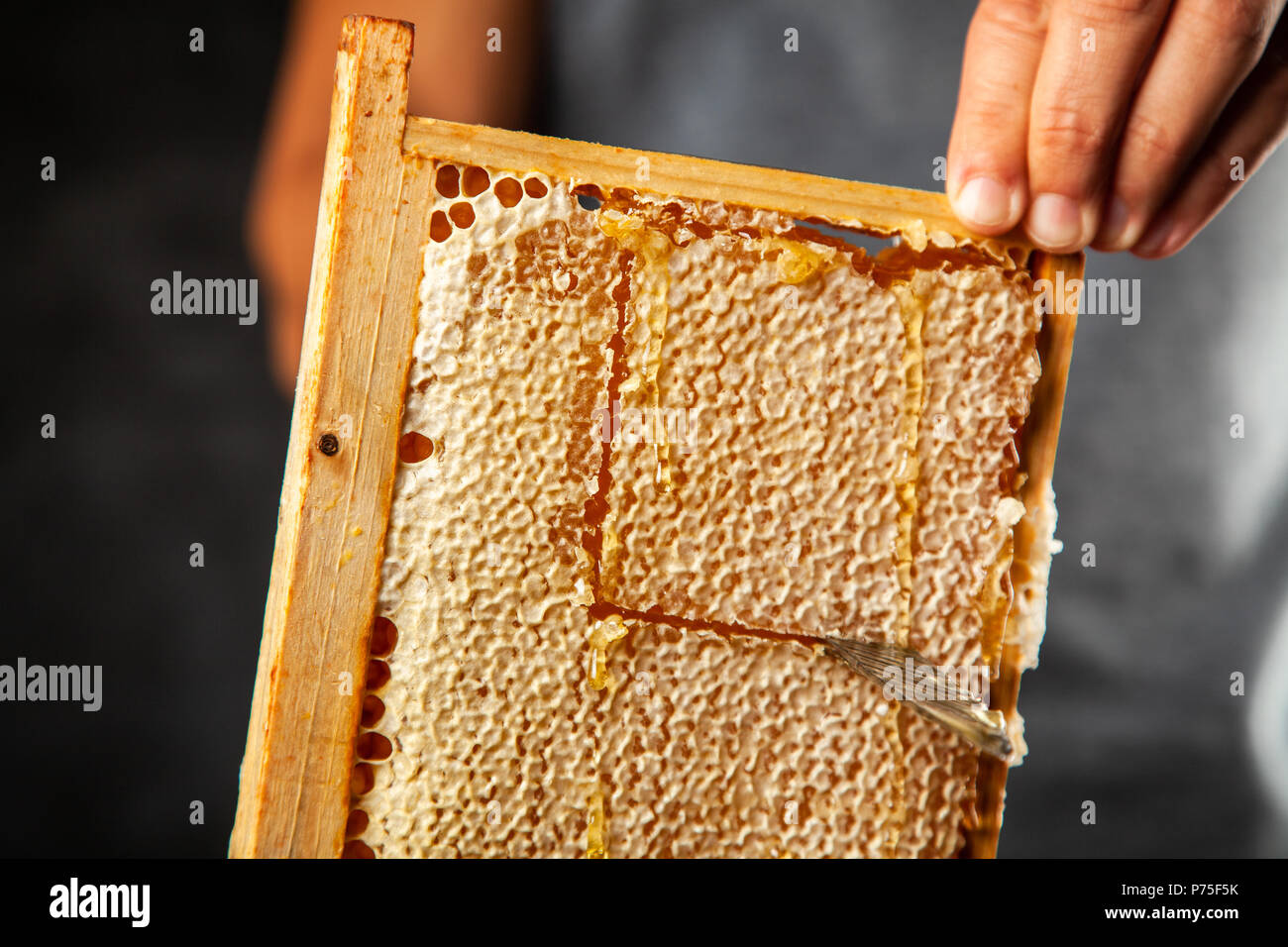 Honeycomb in a wooden frame Stock Photo - Alamy