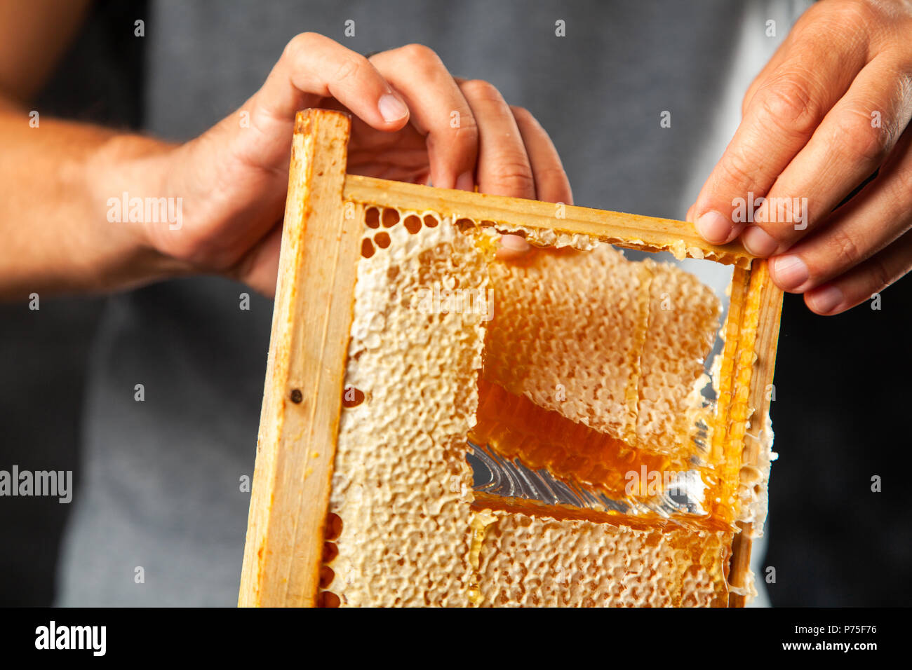 Honeycomb in a wooden frame Stock Photo - Alamy