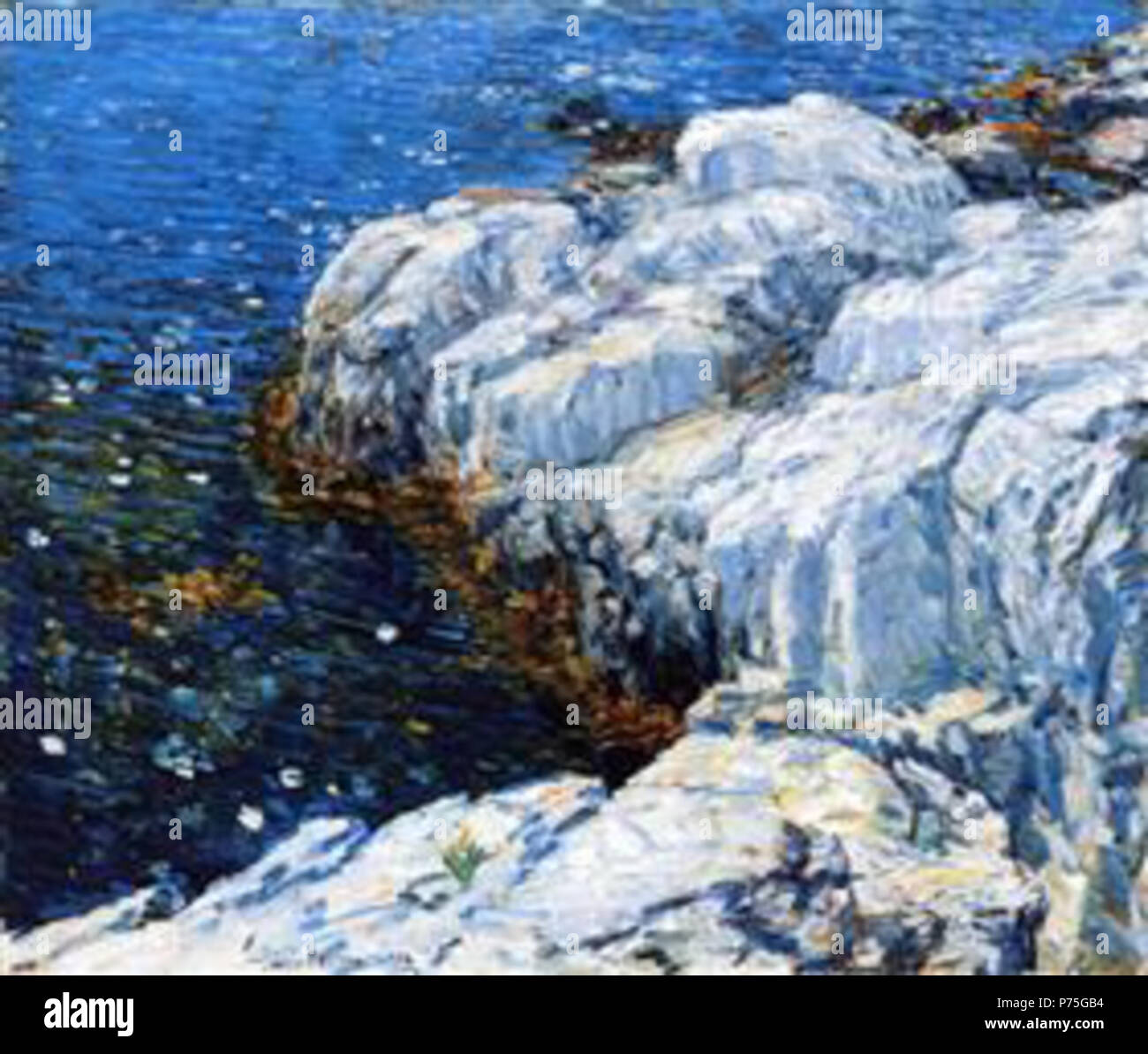 Work by Childe Hassam . before 1935 136 Hassam - jelly-fish Stock Photo ...