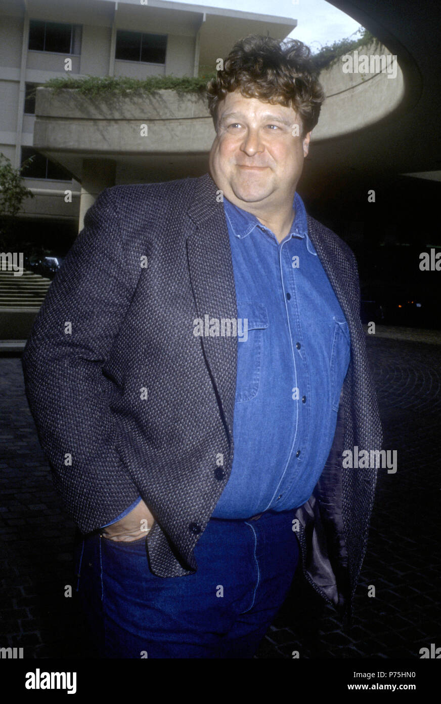 BEVERLY HILLS, CA - JANUARY 18: Actor John Goodman attends the 49th ...